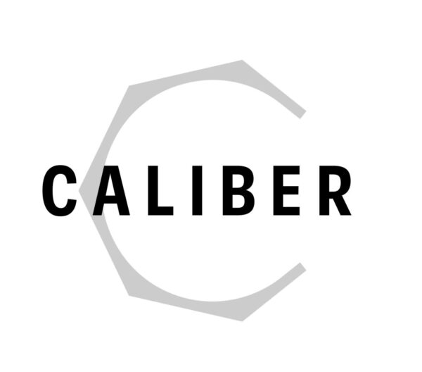 Backed by $10–15M, Caliber Launches SaySo to Power Subscription-Style ...
